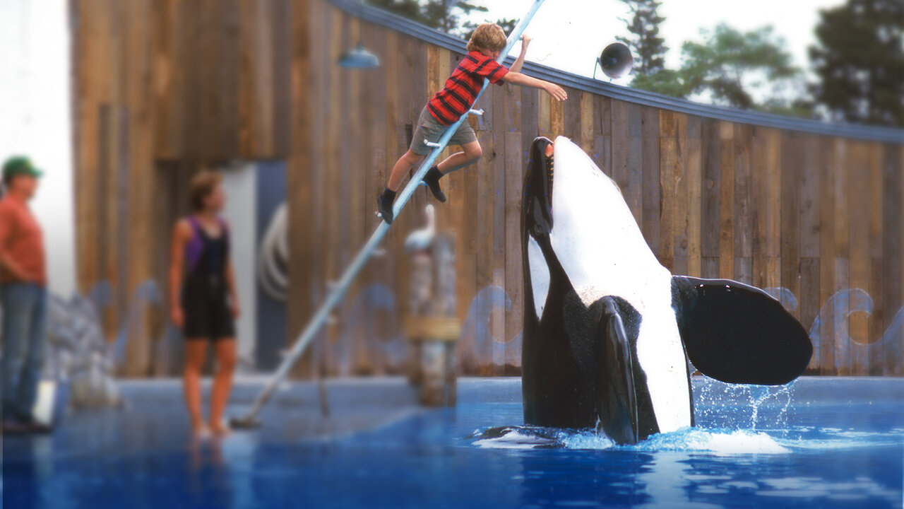 Watch Free Willy | Netflix