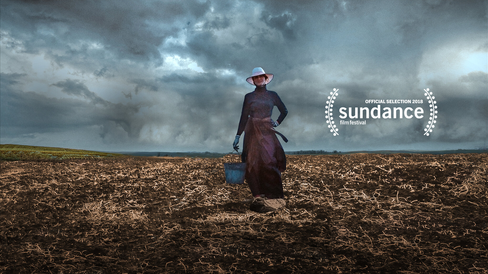 Watch The Trader (Sovdagari) | Netflix Official Site