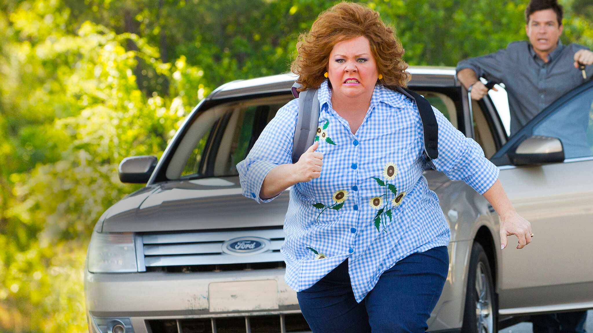Watch Identity Thief | Netflix