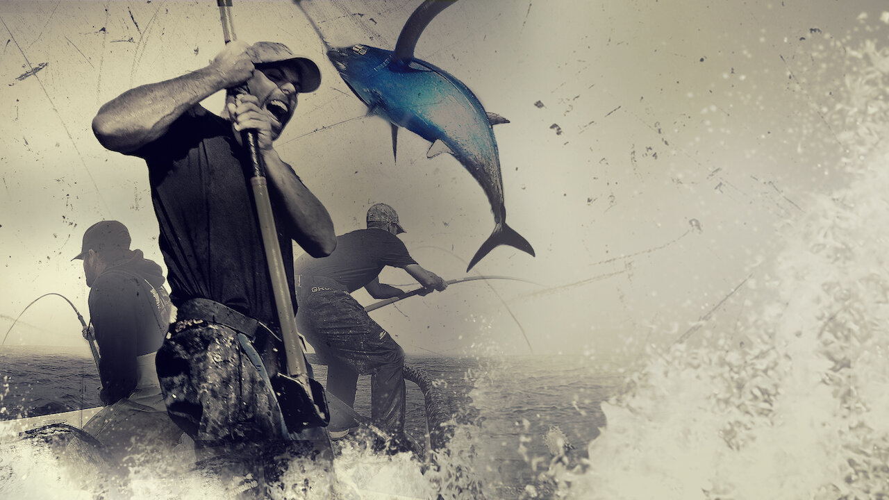 مشاهدة ‎Battlefish | موقع Netflix الرسمي