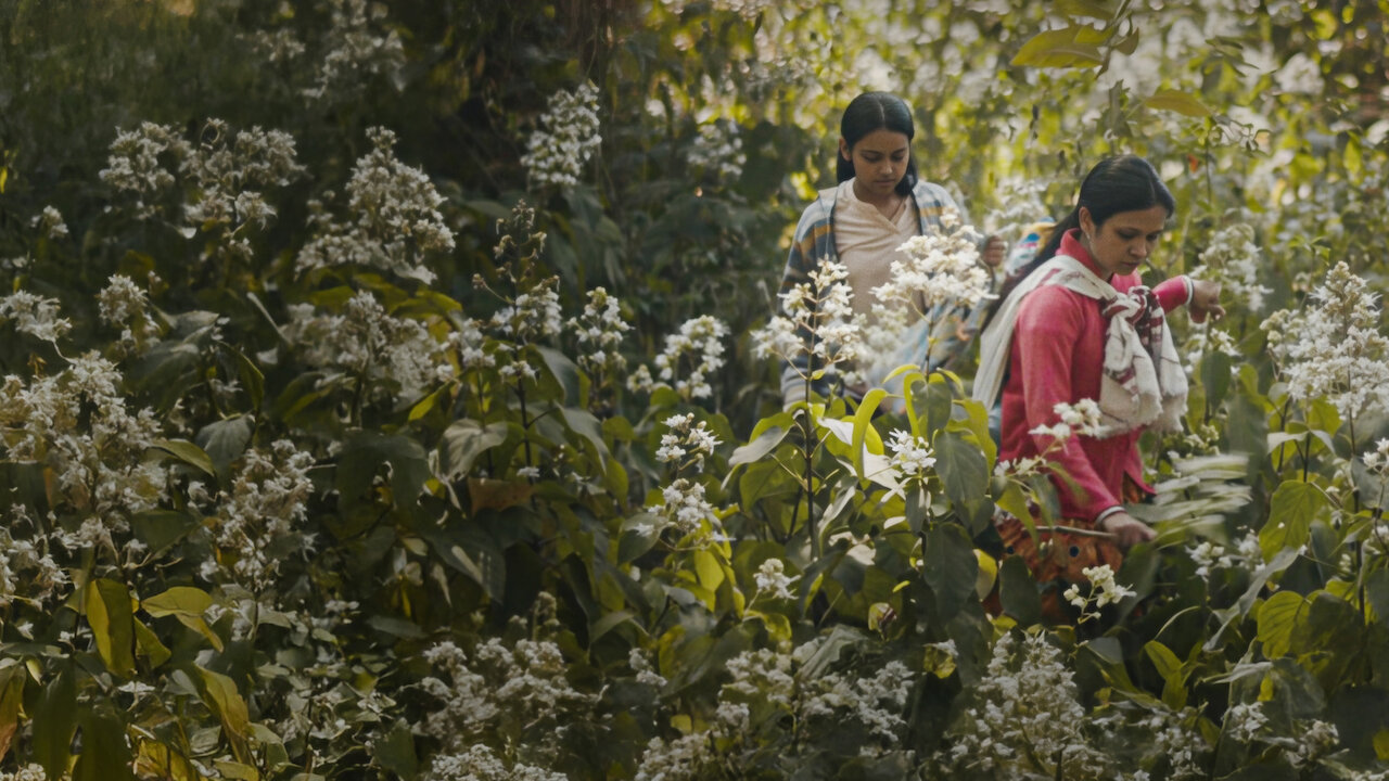 Watch Humans in the loop | Netflix