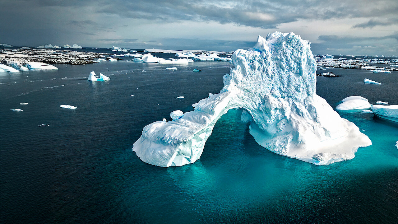 Дивіться «Антарктида» | Netflix