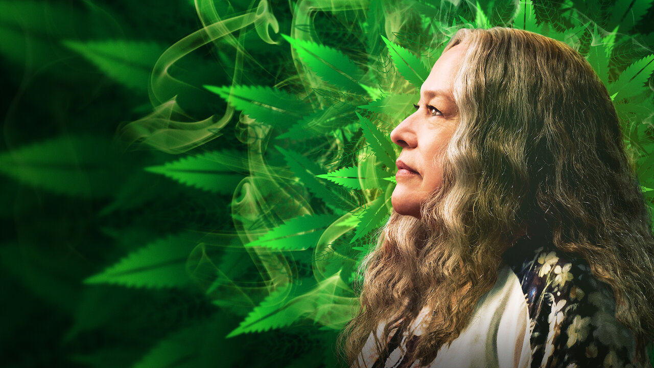 Watch Disjointed | Netflix Official Site