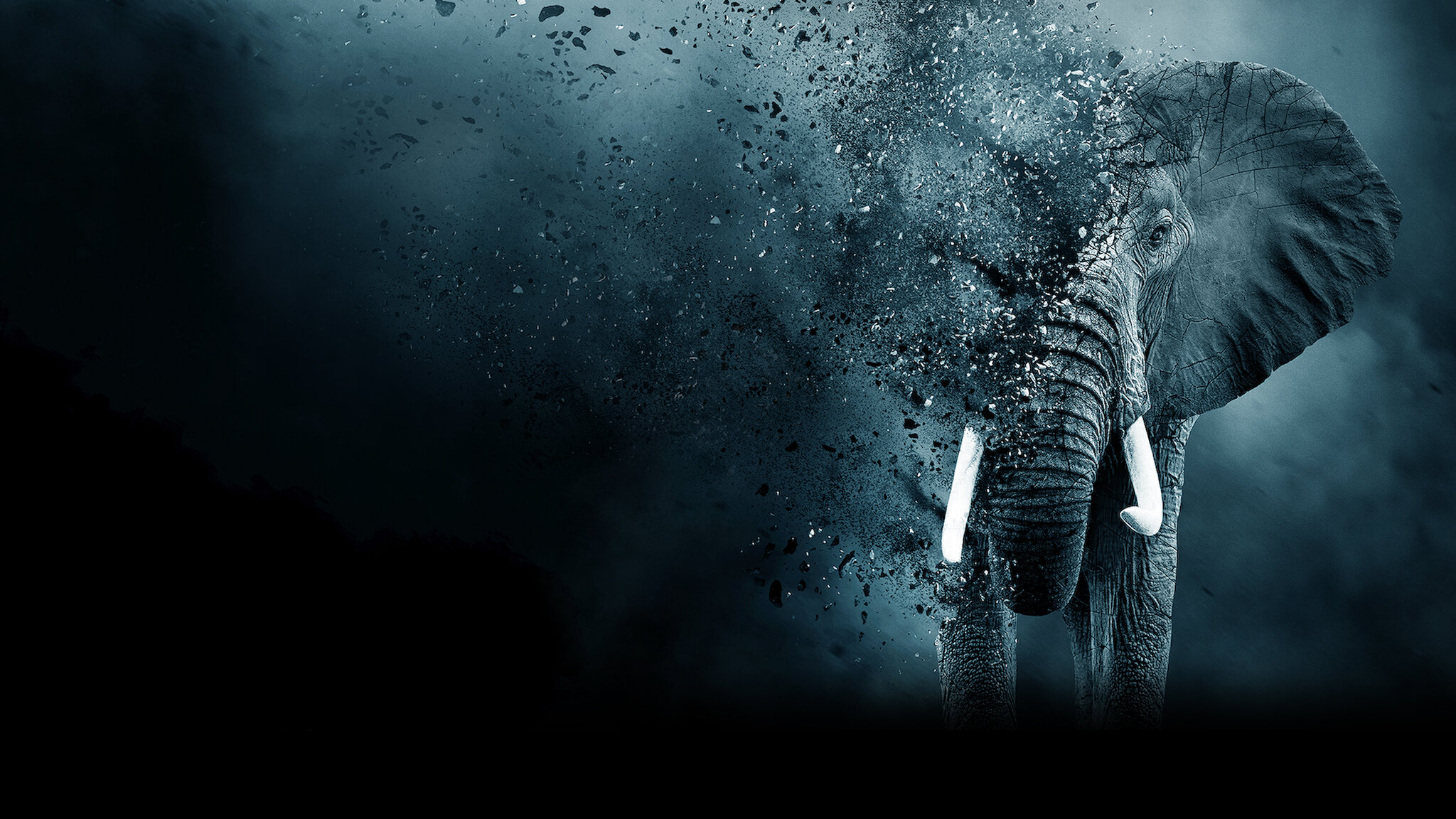 Watch The Ivory Game | Netflix Official Site