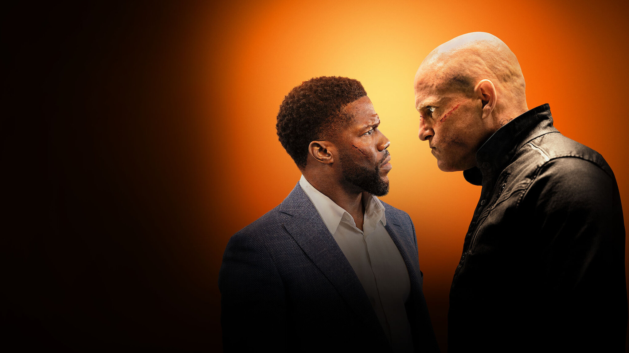 Watch The Man from Toronto | Netflix Official Site