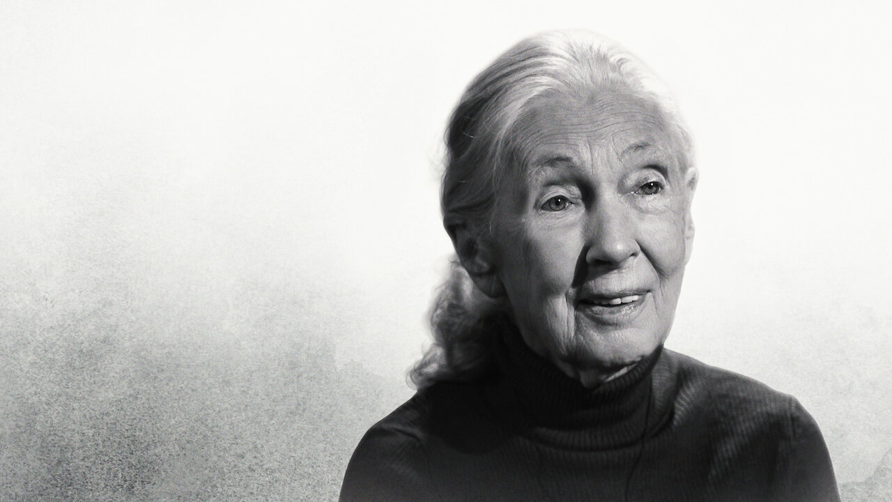 Watch Famous Last Words: Dr. Jane Goodall | Netflix Official Site