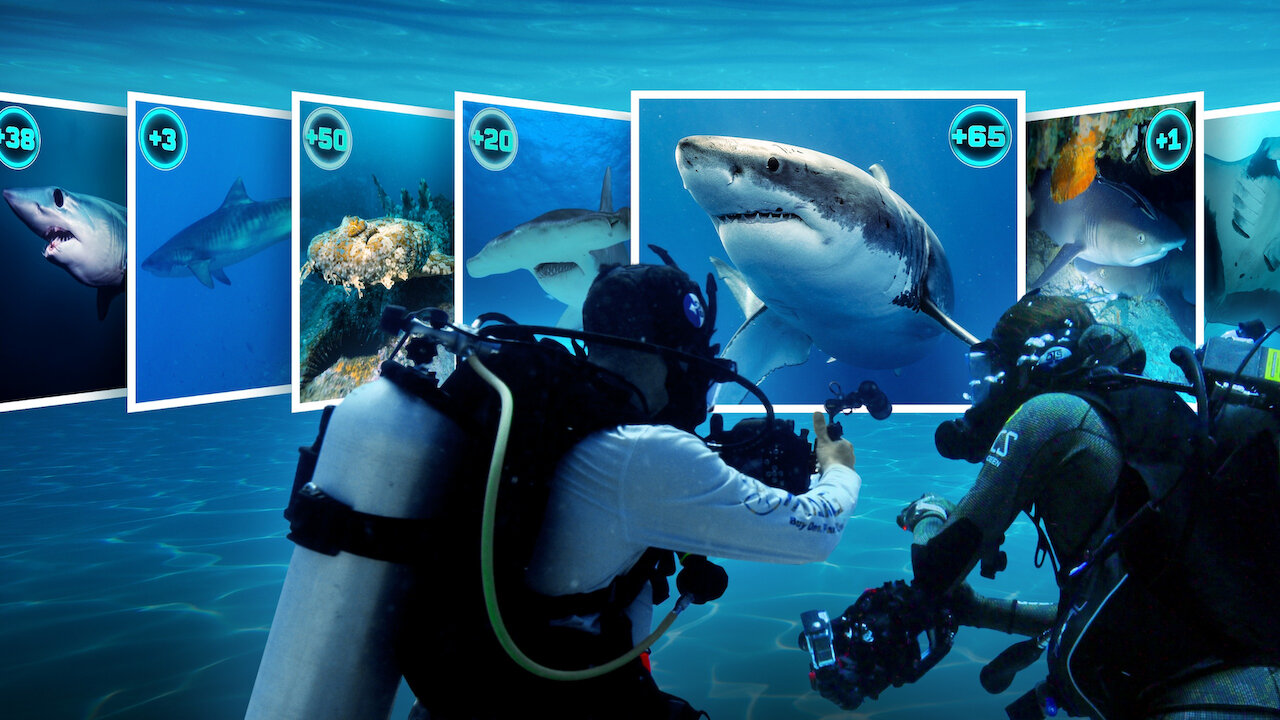Watch All the Sharks | Netflix Official Site