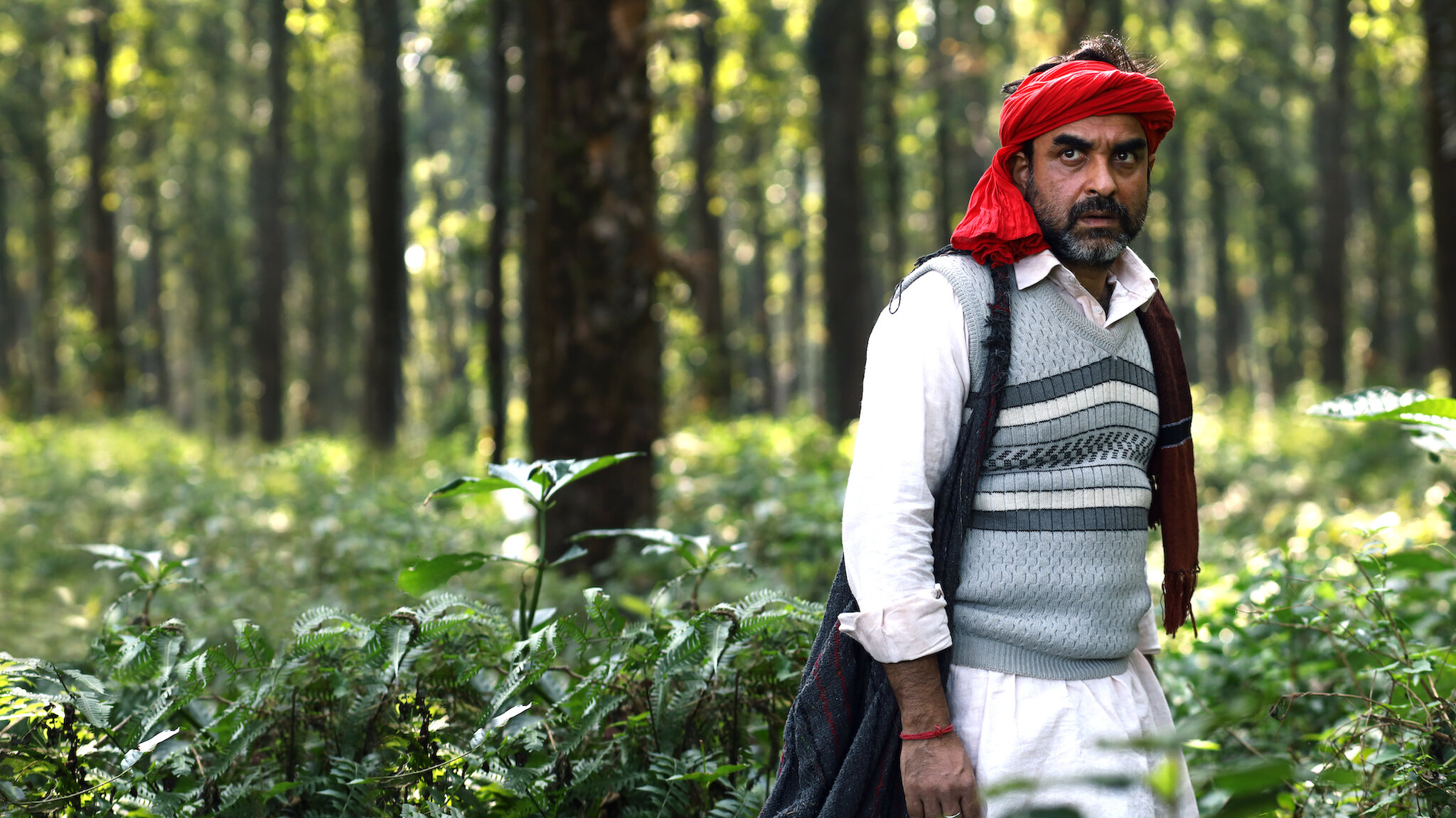 Watch Sherdil: The Pilibhit Saga | Netflix