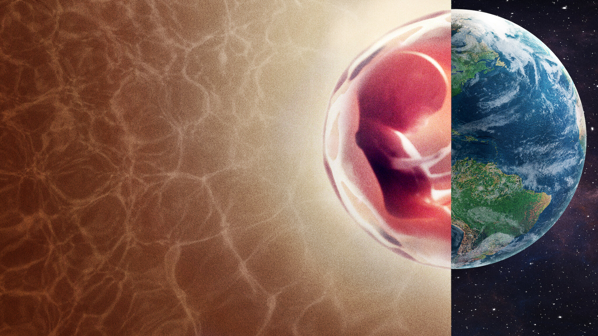 Watch Human: The World Within | Netflix