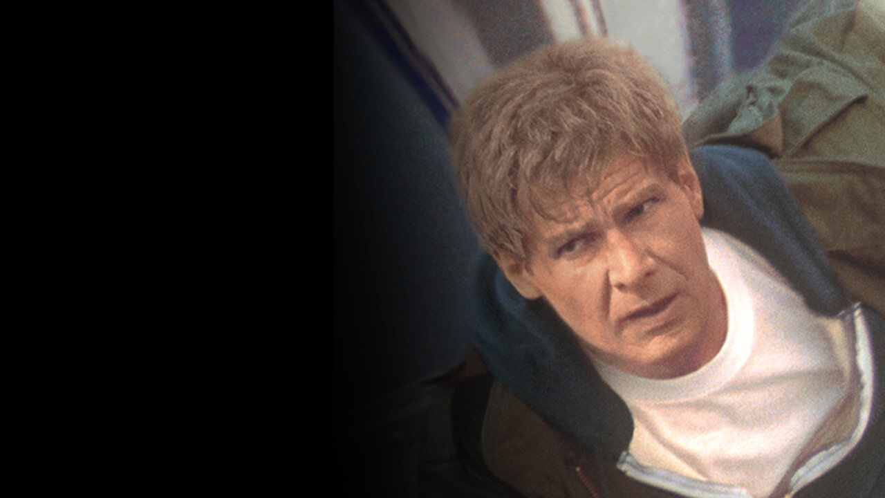 Watch The Fugitive | Netflix