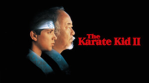 Martial Arts Movies | Netflix Official Site