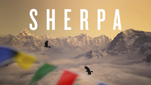 Watch The Volcano: Rescue from Whakaari | Netflix Official Site