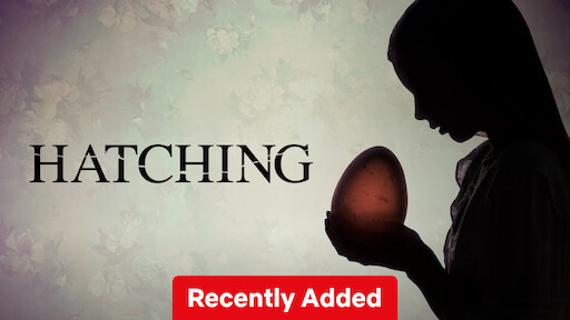 Watch Target | Netflix