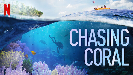 Watch Seaspiracy | Netflix Official Site