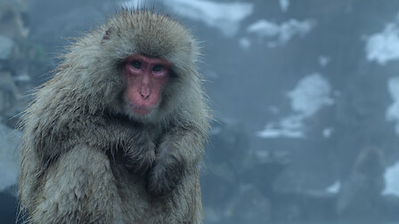 Watch Night on Earth | Netflix Official Site