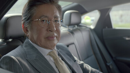 Watch The Lady in Dignity | Netflix