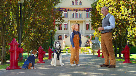 Watch Pup Academy | Netflix