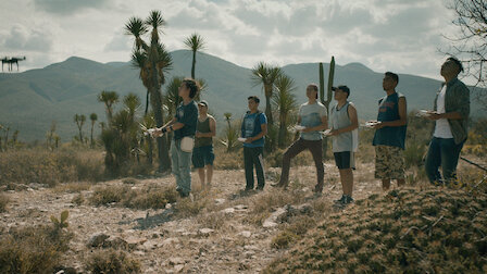 Watch Yankee | Netflix Official Site