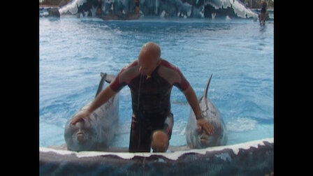 Watch The Last Dolphin King | Netflix Official Site