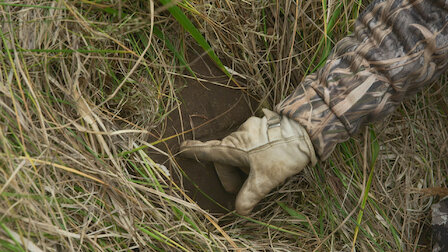 Watch Pirate Gold of Adak Island | Netflix Official Site