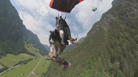 Watch The Hidden Lives of Pets | Netflix Official Site