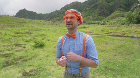 Watch Blippi | Netflix