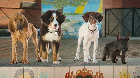 Watch Super PupZ | Netflix Official Site