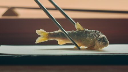 Watch Taco Chronicles | Netflix Official Site