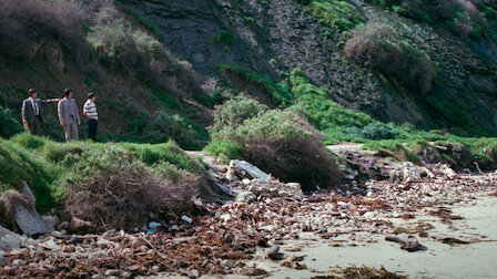 Watch Homicide | Netflix Official Site