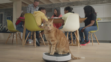Watch The Hidden Lives of Pets | Netflix Official Site