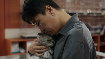 Watch Daily Dose of Sunshine | Netflix Official Site