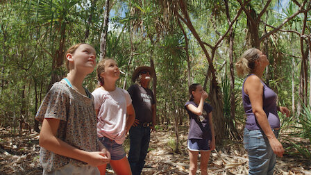 Watch Izzy's Koala World | Netflix Official Site