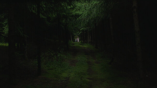 Watch Ravenous | Netflix Official Site