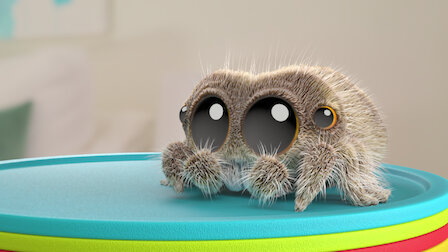 La araña Lucas | Netflix