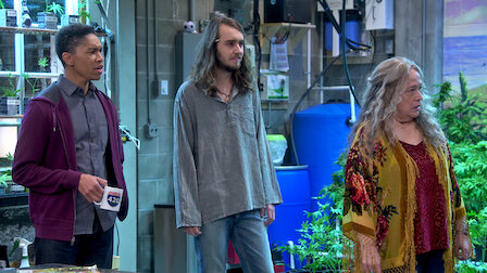 Watch Disjointed | Netflix Official Site