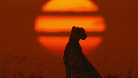 Watch Our Universe | Netflix Official Site