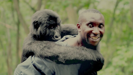 Virunga | Netflix Official Site