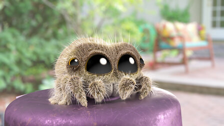 Watch Lucas the Spider | Netflix
