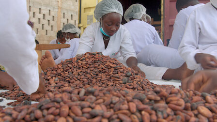 Watch Rotten | Netflix Official Site