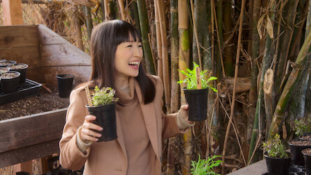 Watch Sparking Joy | Netflix Official Site