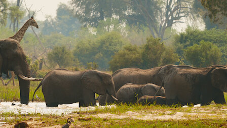 Watch Our Universe | Netflix Official Site