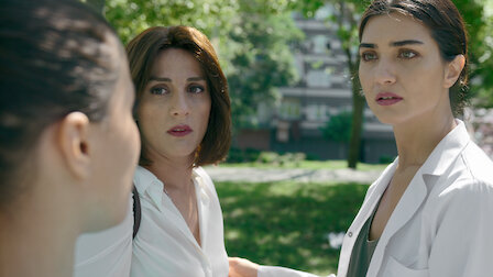 Watch Le Chemin de l'olivier | Netflix Official Site