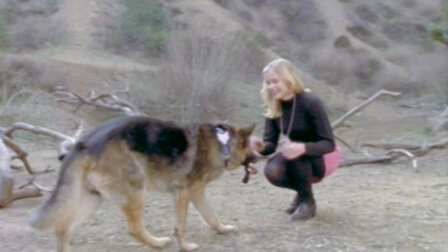 Power Rangers Zeo | Netflix