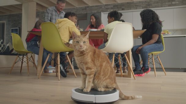 Watch The Hidden Lives of Pets | Netflix Official Site