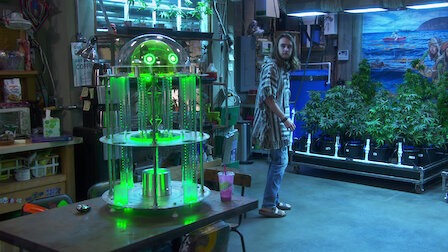 Watch Disjointed | Netflix Official Site