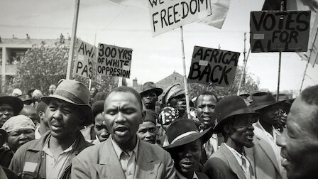 Watch Explained | Netflix Official Site