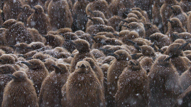 Watch Our Universe | Netflix Official Site