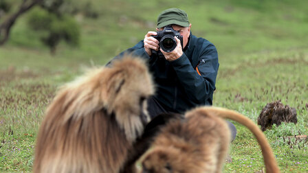 Watch Tales by Light | Netflix Official Site