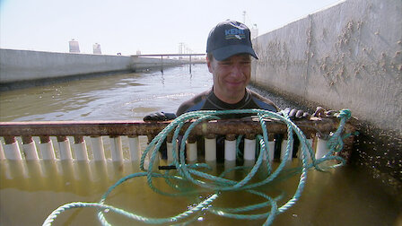 Watch Dirty Jobs | Netflix