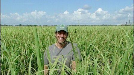 Watch Dirty Jobs | Netflix